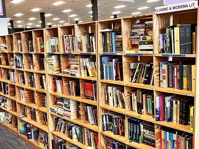 Classic and modern literature sharing shelf space like old friends catching up. Hemingway and Palahniuk &ndash; an unlikely but fascinating conversation.