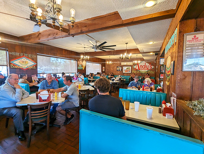 Every table tells a story at Andy's Igloo, where conversations flow as easily as the coffee, and nobody's checking their watch or their phone.