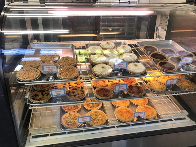 The display case&mdash;a museum of edible art where every pie is both masterpiece and temporary exhibit, destined for a higher purpose.