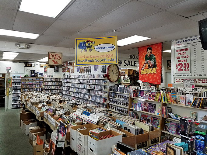 DVDs arranged with the care of a film professor's syllabus. In an age of streaming, these physical artifacts feel gloriously rebellious.