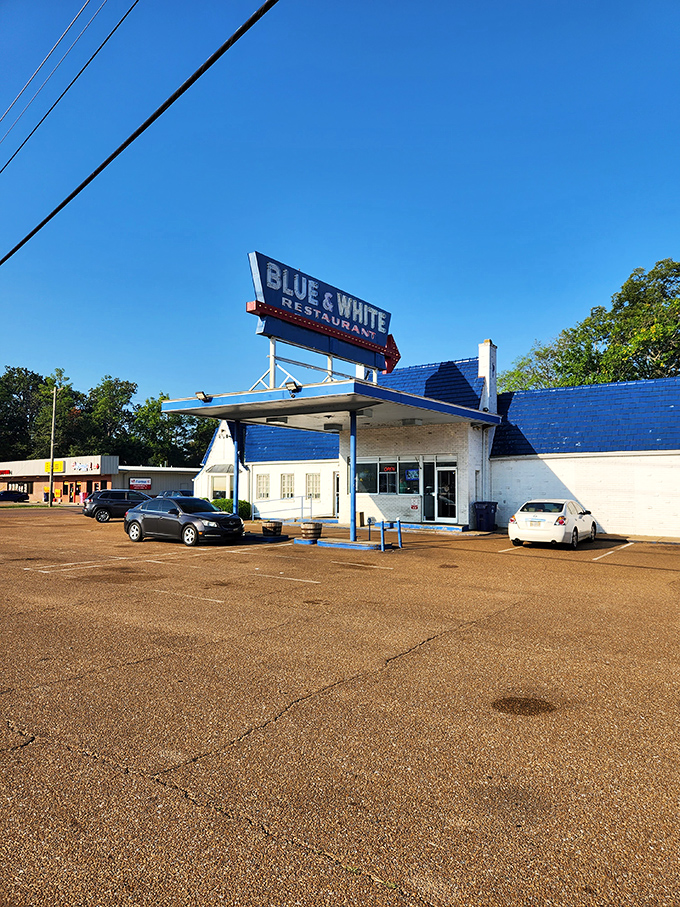 Morning light hits the Blue & White like a scene from a road trip movie. This entrance has welcomed everyone from truckers to celebrities seeking breakfast salvation.