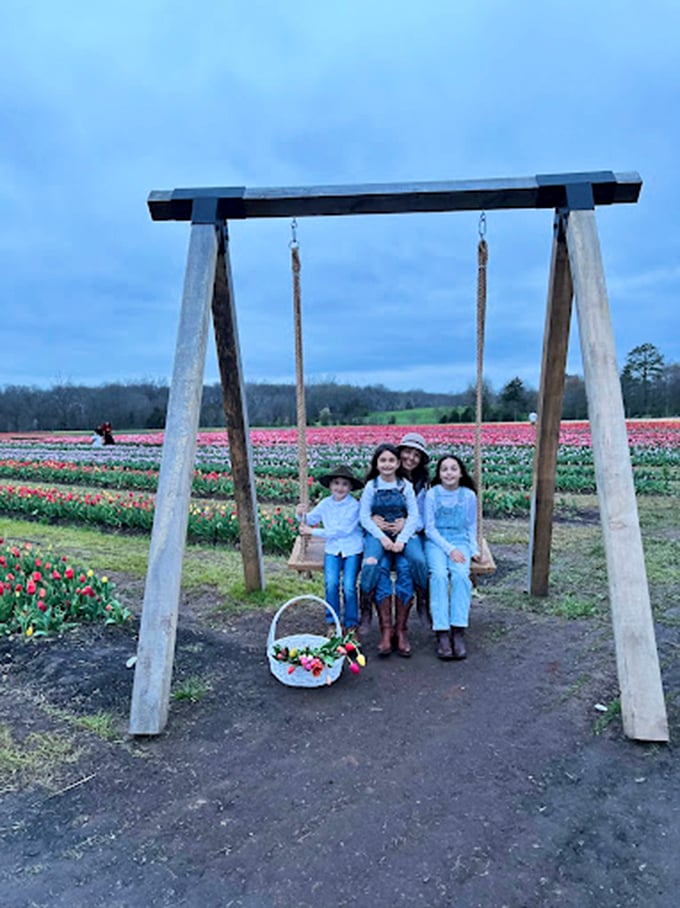 A rustic wooden swing frames the tulip fields beyond, creating the perfect spot for contemplative moments or next year's family Christmas card.
