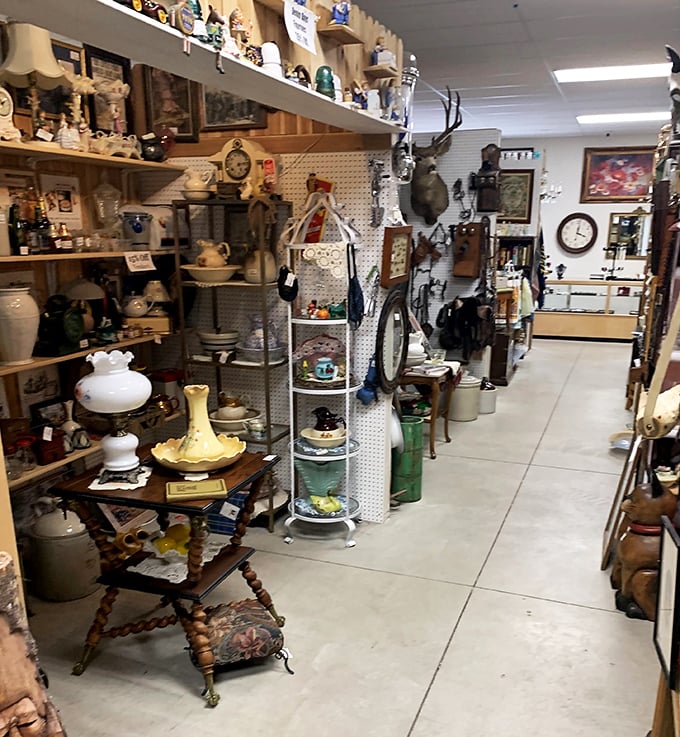 Every inch holds potential treasures, creating the exhilarating sense that your next turn might reveal exactly what you didn't know you needed.