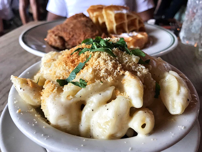 Mac and cheese that doesn't just comfort but cuddles your soul – a creamy, cheesy masterpiece crowned with crispy breadcrumbs and fresh herbs.