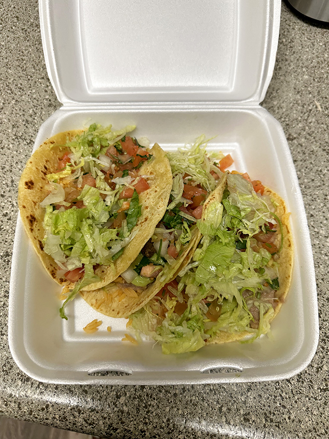 Layer upon glorious layer &ndash; these nachos are built like a delicious archaeological dig where every level reveals new treasures.