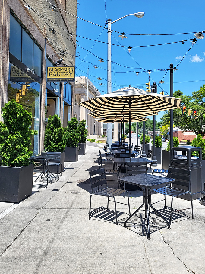 Outdoor seating that invites lingering conversations. Bristol's State Street becomes your dining room, with string lights overhead and pastries within reach.