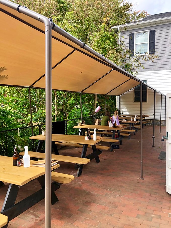 Mother Nature's dining room extension&mdash;bright blue picnic tables under a protective canopy. The kind of outdoor seating that makes you wish summer lasted just a little longer.