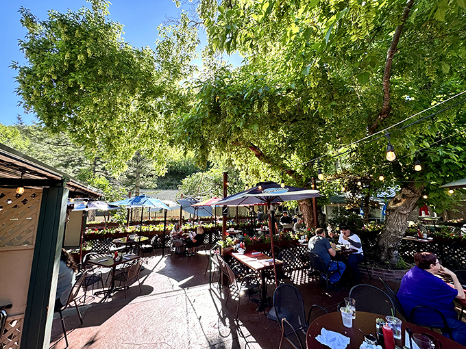 Outdoor dining that captures Utah's natural splendor. Umbrella-shaded tables under leafy canopies make every meal feel like a special occasion in nature's dining room.