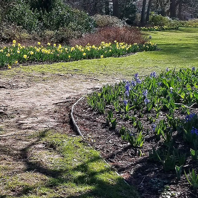 Winding paths reveal new surprises at every turn, like a choose-your-own-adventure book where every ending features spectacular flowers.