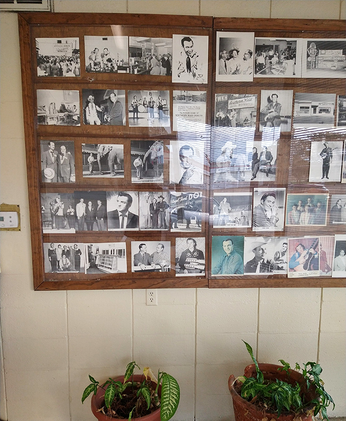 A wall of Southern Maid history that tells a story sweeter than fiction, preserving memories of generations of donut devotees.