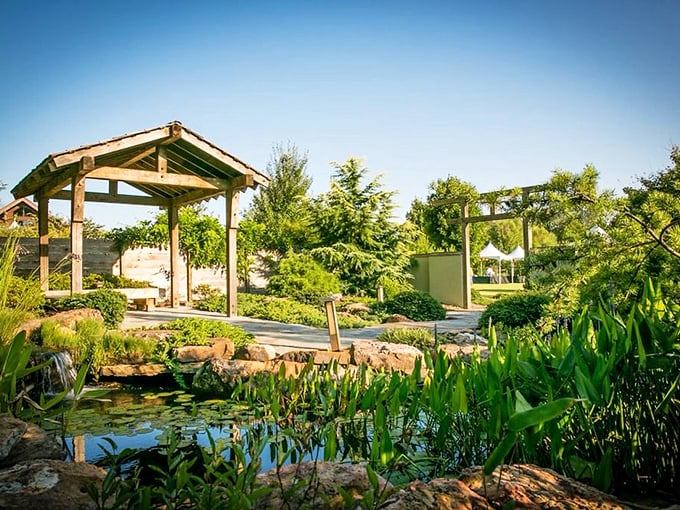 Water gardens: where koi fish live their best lives and humans stand around envying their stress-free existence.