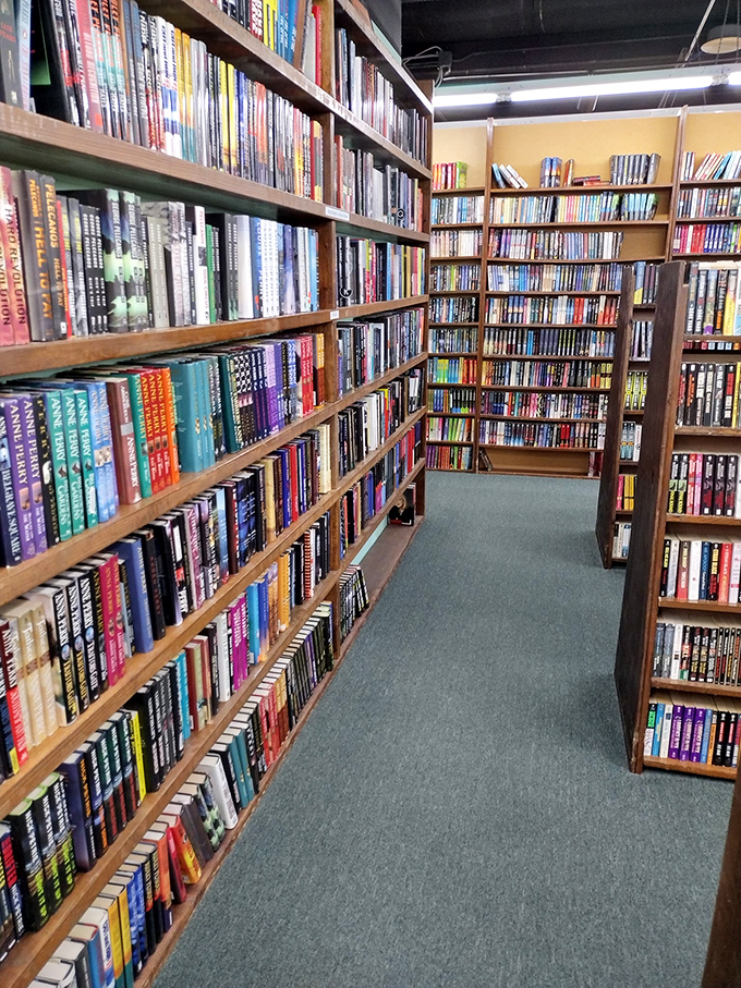 Every aisle offers a new literary landscape to explore, with spines of every color creating a rainbow of reading possibilities.
