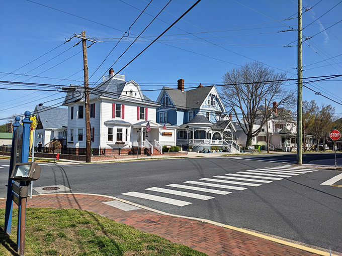 Historic homes line Lewes' neighborhood streets like architectural eye candy. These preserved facades tell stories of sea captains and merchants who built this "First Town in the First State."