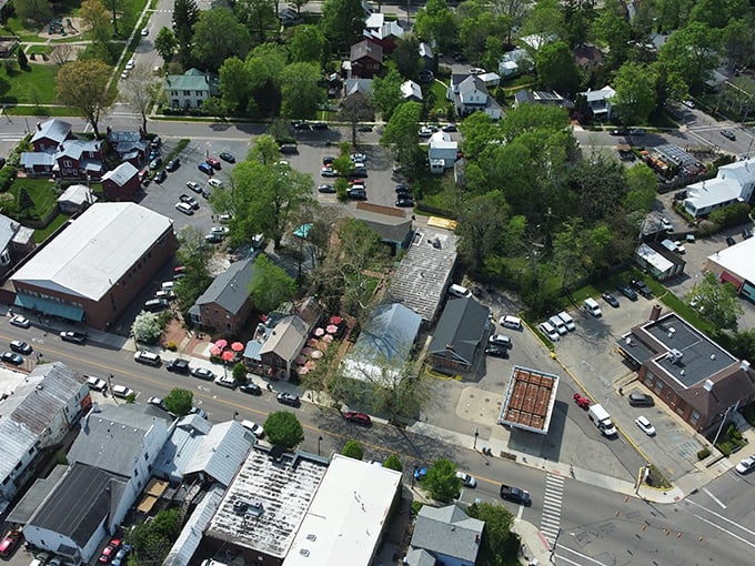 From above, Yellow Springs reveals itself as a perfect little oasis&mdash;a village that somehow escaped the homogenization of modern America.
