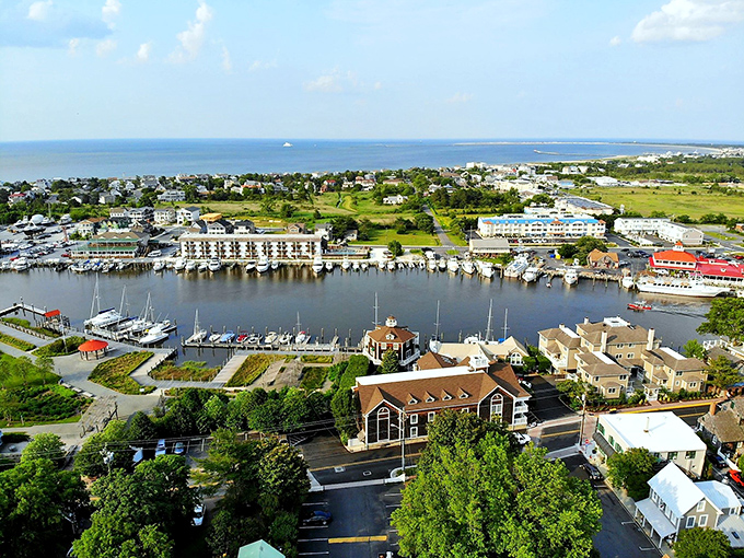 From above, Lewes reveals its perfect positioning between bay and ocean, with the marina serving as the town's nautical heart.