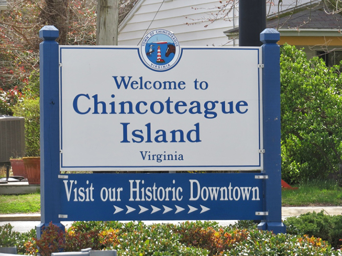 The welcome sign that might as well add: "Population: Just enough. Traffic jams: Only when a duck family crosses the road."