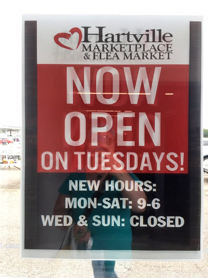 Now open Tuesdays! Because apparently even treasure hunters need a day off on Wednesdays and Sundays.