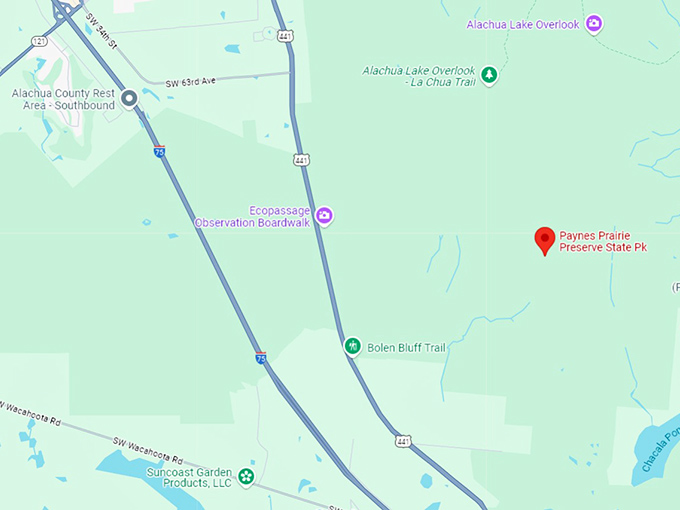 16 paynes prairie preserve state park map