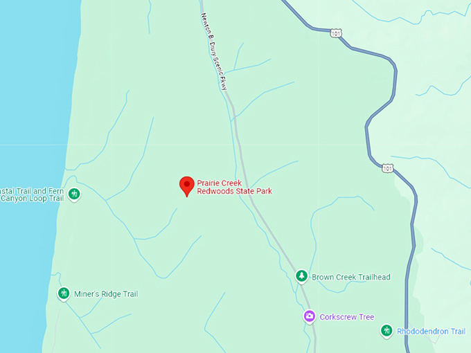16 prairie creek redwoods state park map