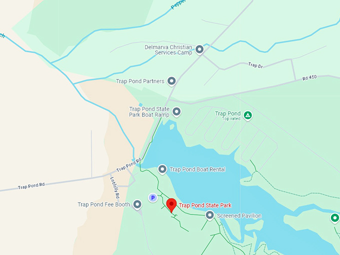16 trap pond state park map