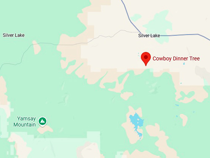 16. cowboy dinner tree map