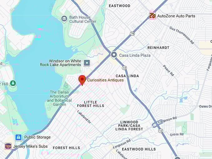 16. curiosities antiques map