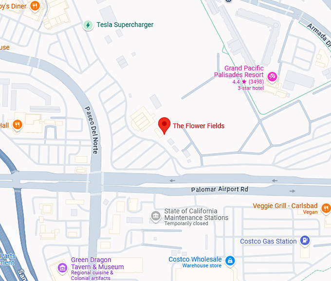 16. this dreamy flower field in california is so gorgeous, it feels like a claude monet painting map