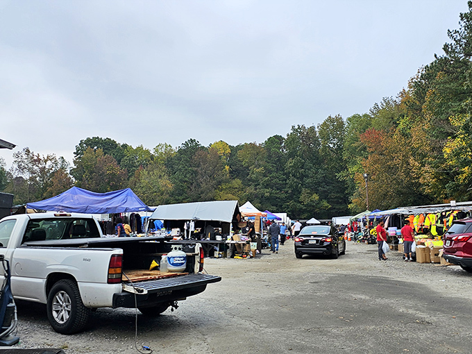 The treasure hunt begins! Rows of vendors with pickup trucks full of potential discoveries at Bill's Flea Market.