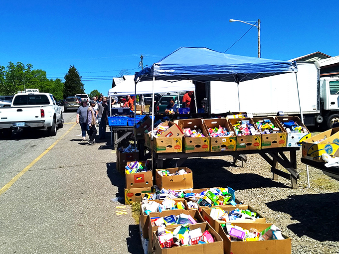 Treasure hunting begins! Colorful produce boxes line up like soldiers, each filled with potential kitchen magic and bargain bragging rights.