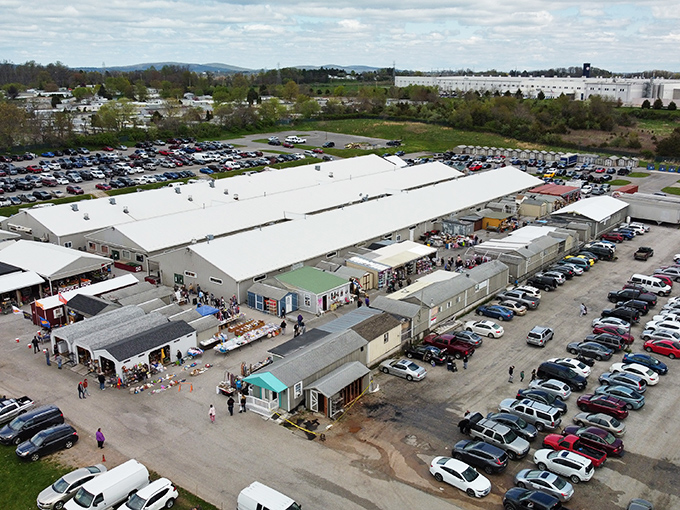 Morning Sun Marketplace: Rows of treasures under blue skies &ndash; where one person's castoffs become another's can't-live-without discoveries.