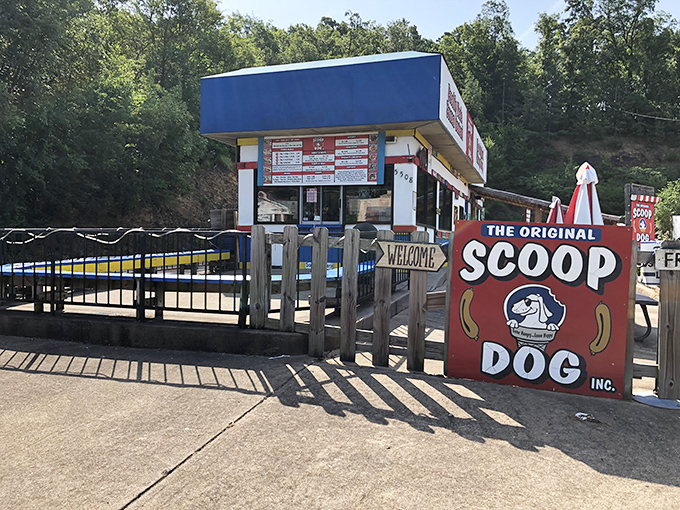 The Original ScoopDog: Where that iconic blue building and cheerful sign promise hot dog nirvana in North Little Rock's most unassuming location.