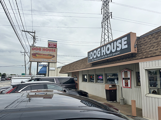 Where power lines meet comfort food. The Dog House stands as a testament to Delaware's enduring love affair with perfect franks.