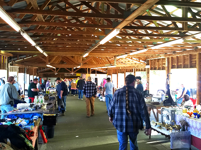 Step into the covered wonderland where every table tells a different story and weekend warriors hunt for unexpected gems.