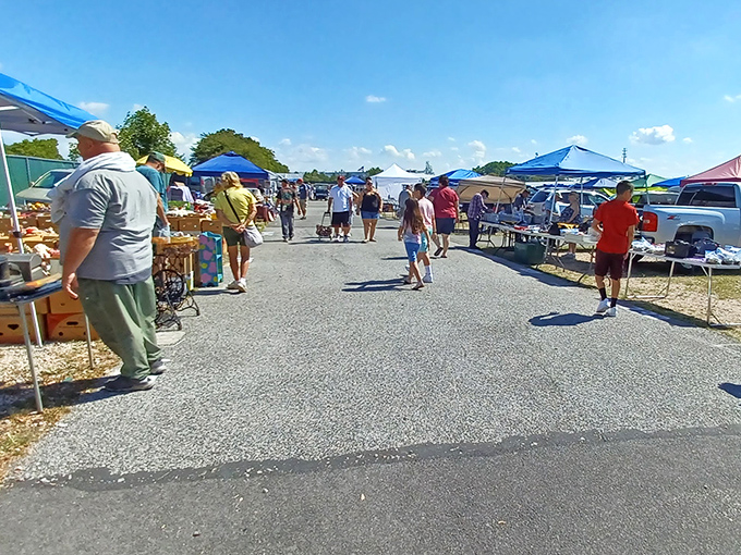 Morning Sun Marketplace: The thrill of the hunt comes alive as vendors display their wares like museums of everyday life.