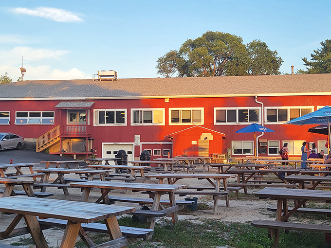 Picnic tables ready for action &ndash; where lobster bibs become fashion statements and butter is a perfectly acceptable beverage.
