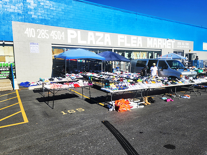 Tables laden with merchandise stretch across the parking lot&mdash;a shopper's paradise where one person's castoffs become another's prized possessions.