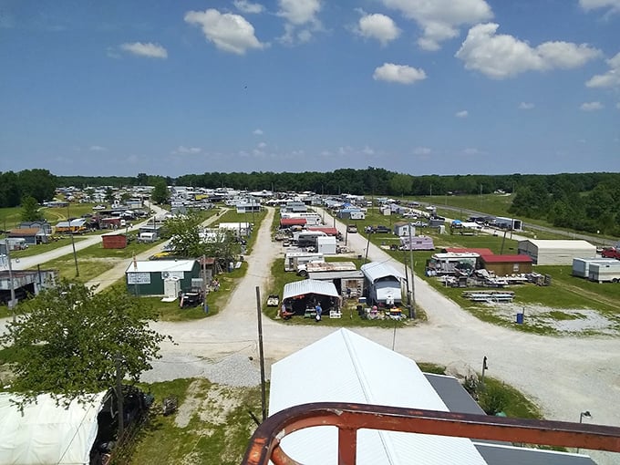 Paradise for the patient explorer. Rows of potential discoveries stretch to the horizon, each stall a miniature museum of possibilities.