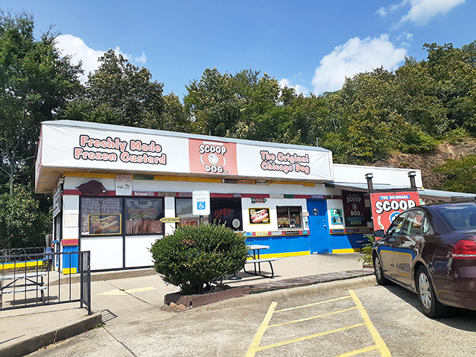 Freshly made frozen custard and legendary dogs &ndash; ScoopDog's modest exterior hides flavor combinations that would make a food critic weep with joy.