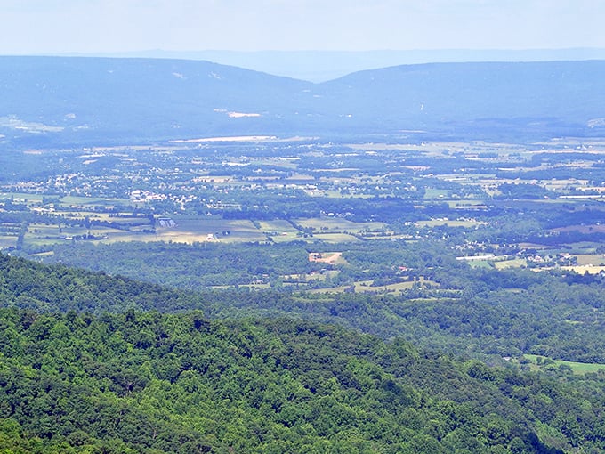 The Shenandoah Valley unfolds like nature's quilt from above. If Bob Ross painted panoramas instead of happy little trees, this view would be his masterpiece.