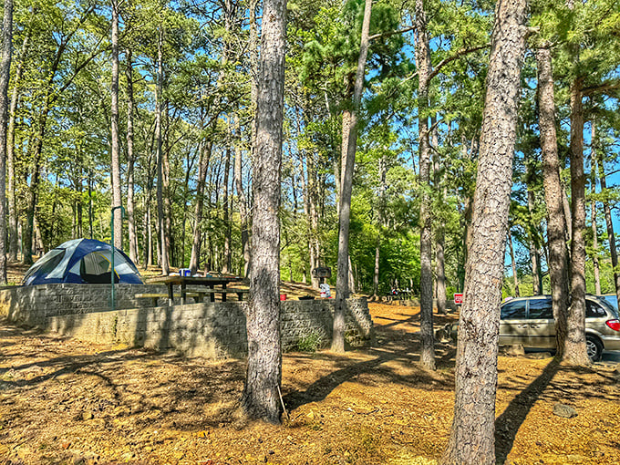 Pine-scented camping perfection where every site feels like the VIP section. Mother Nature's five-star accommodations await.