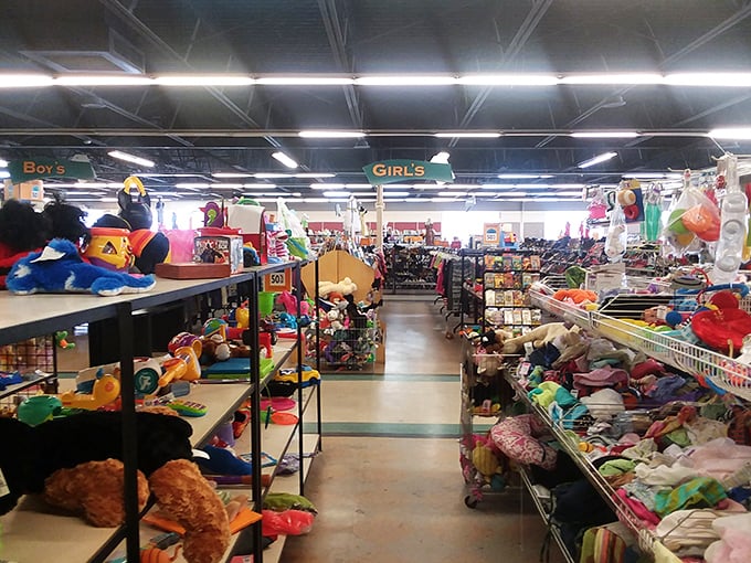 Aisles of possibility stretch before you in this organized chaos of toys and children's items. Every shelf holds someone's future joy.