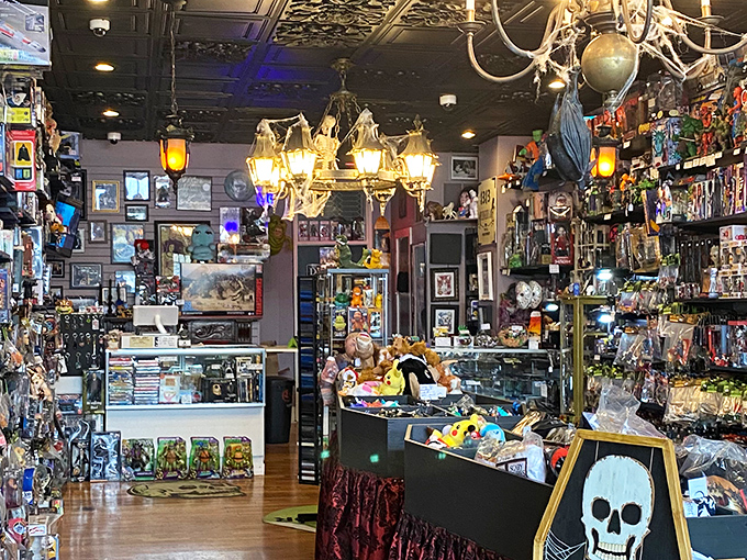 Step inside and prepare for sensory overload. The ornate chandeliers, vintage tin ceiling, and wall-to-wall treasures create a collector's paradise that defies ordinary retail logic.