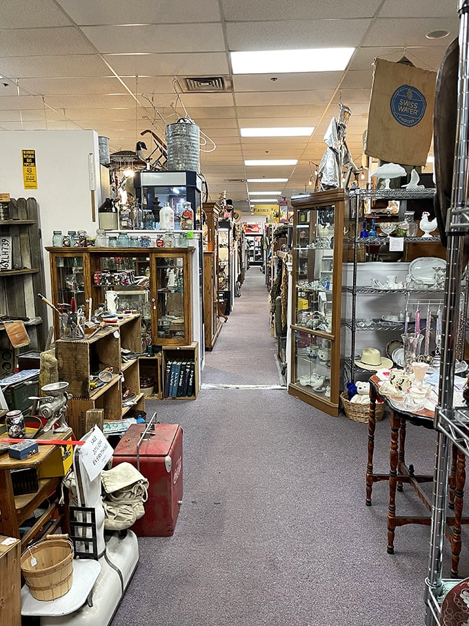 Narrow pathways create a delightful maze of discovery, where every turn reveals another era's treasures. Indiana Jones would approve.