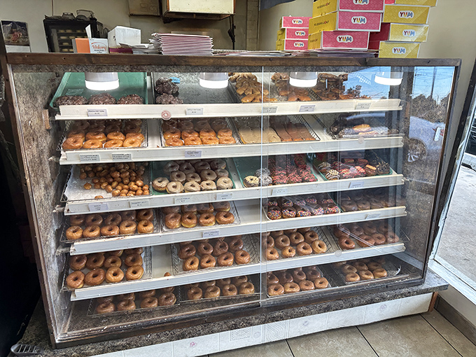 Donut nirvana awaits! This display case is like a museum of fried dough art, each shelf a gallery of glazed masterpieces.