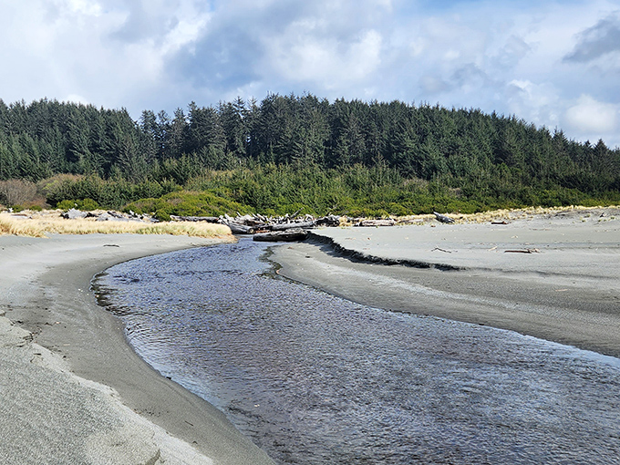 Where forest meets ocean in a landscape so pristine it looks Photoshopped. Mother Nature showing off her portfolio work.