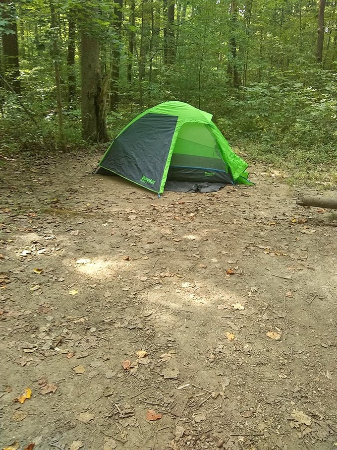Glamping, this is not. A lone green tent stands ready for adventure in Shades' primitive camping area, where nighttime symphonies are performed by crickets and distant owls.