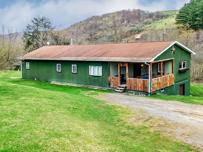 This unassuming green lodge might not scream "five-star accommodation," but wait until you see the celestial room service that arrives after dark.