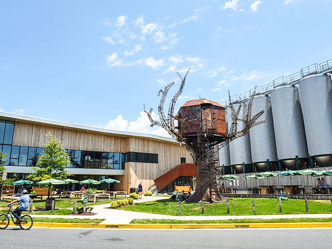 Not just any treehouse&mdash;Dogfish Head's steampunk masterpiece stands guard over brewing tanks like something from a beer lover's fever dream.