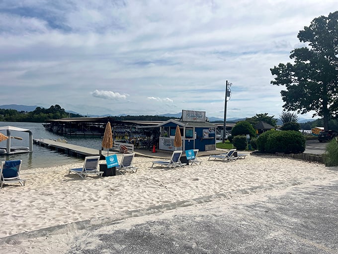 Beach chairs await sun-seekers while the marina's blue shack promises refreshments. The mountains stand guard over this slice of summer paradise.