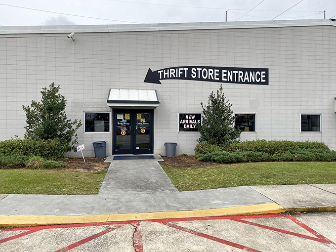 "New Arrivals Daily" isn't just a sign&mdash;it's a siren call to treasure hunters who understand that yesterday's discards are tomorrow's designer vintage.